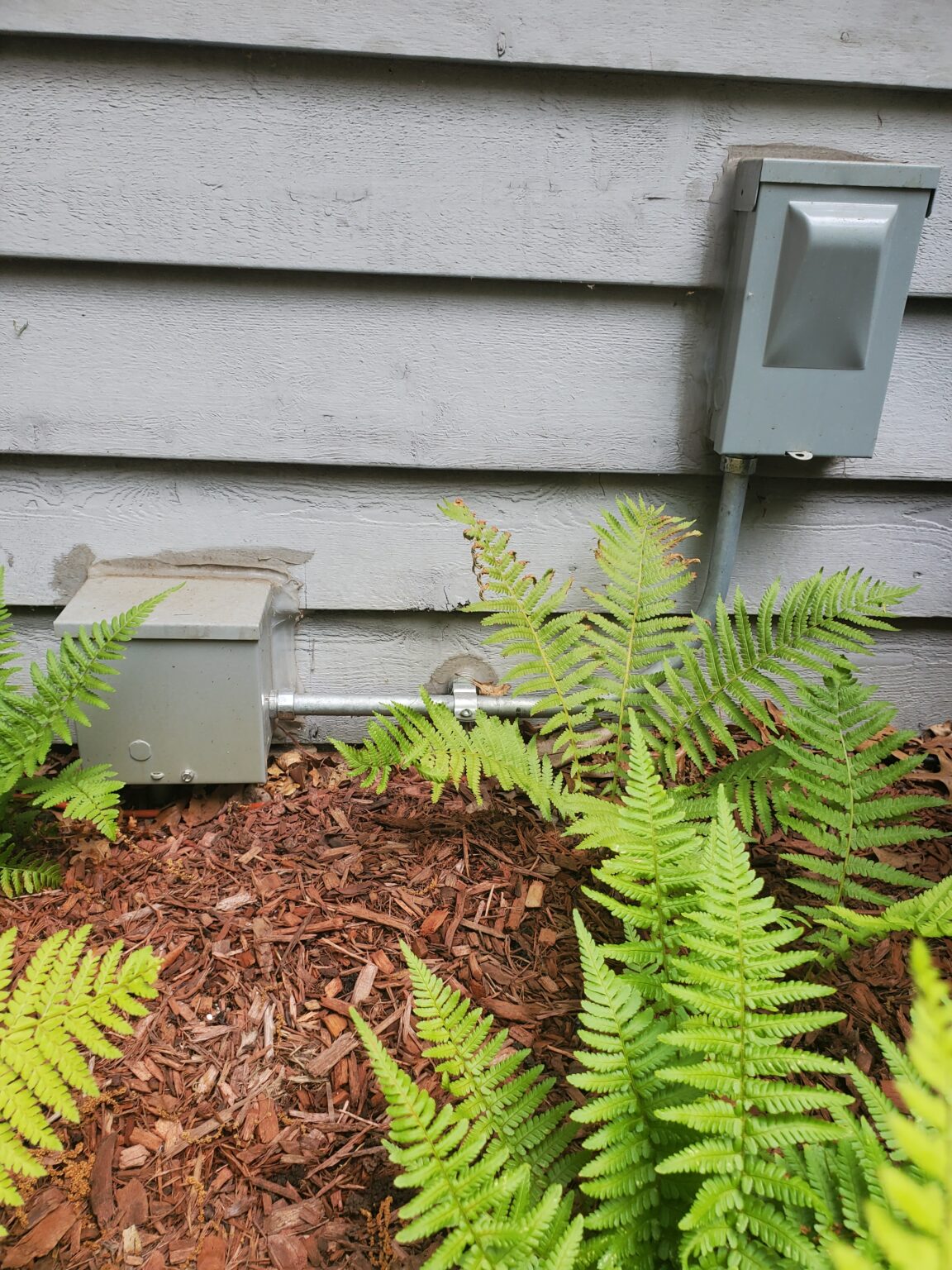 My Garden Design Scheme - The Renaissance Garden Guy