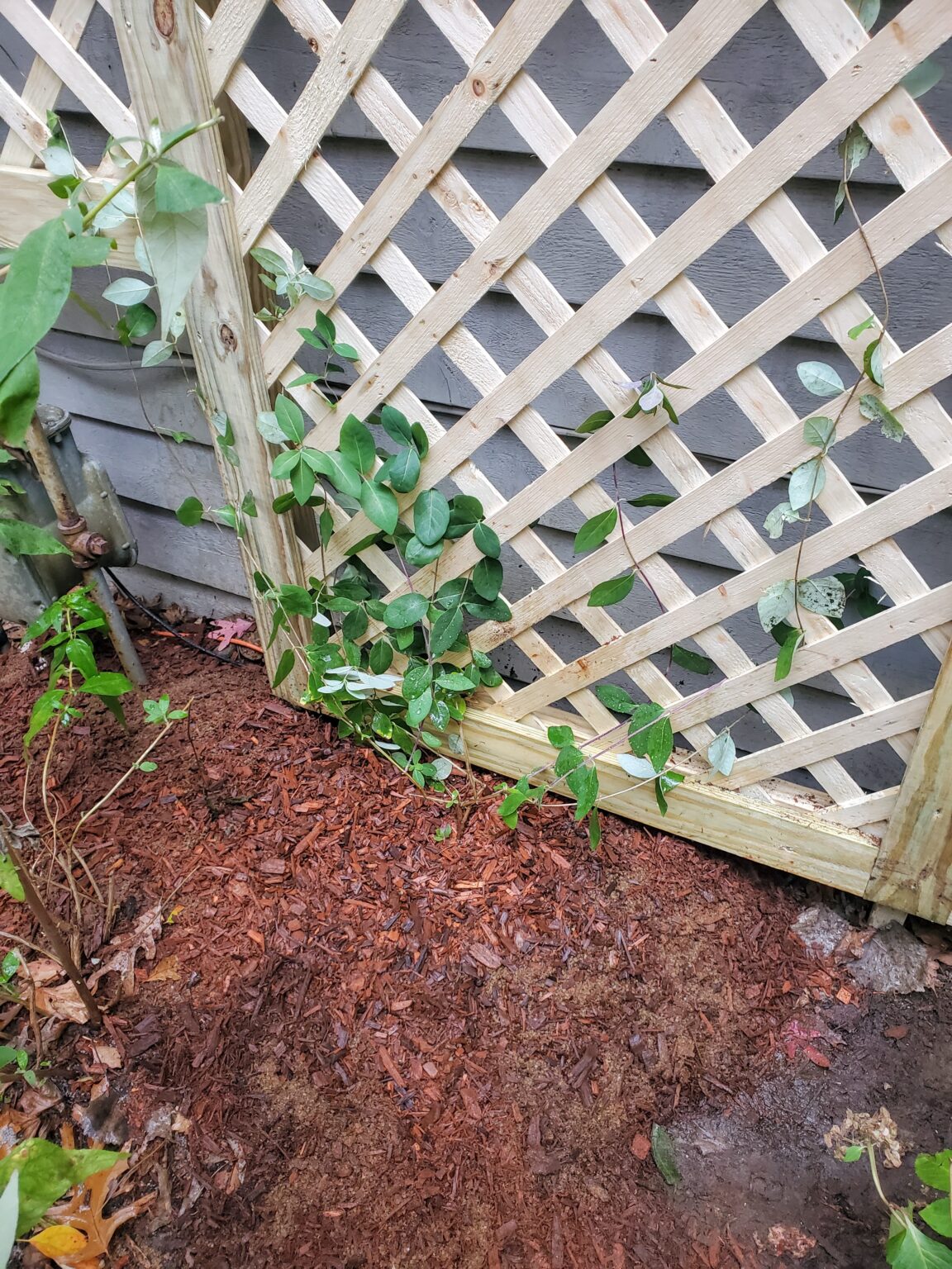 Building a Garden Arbor and Trellis System: A Quick Look at the ...