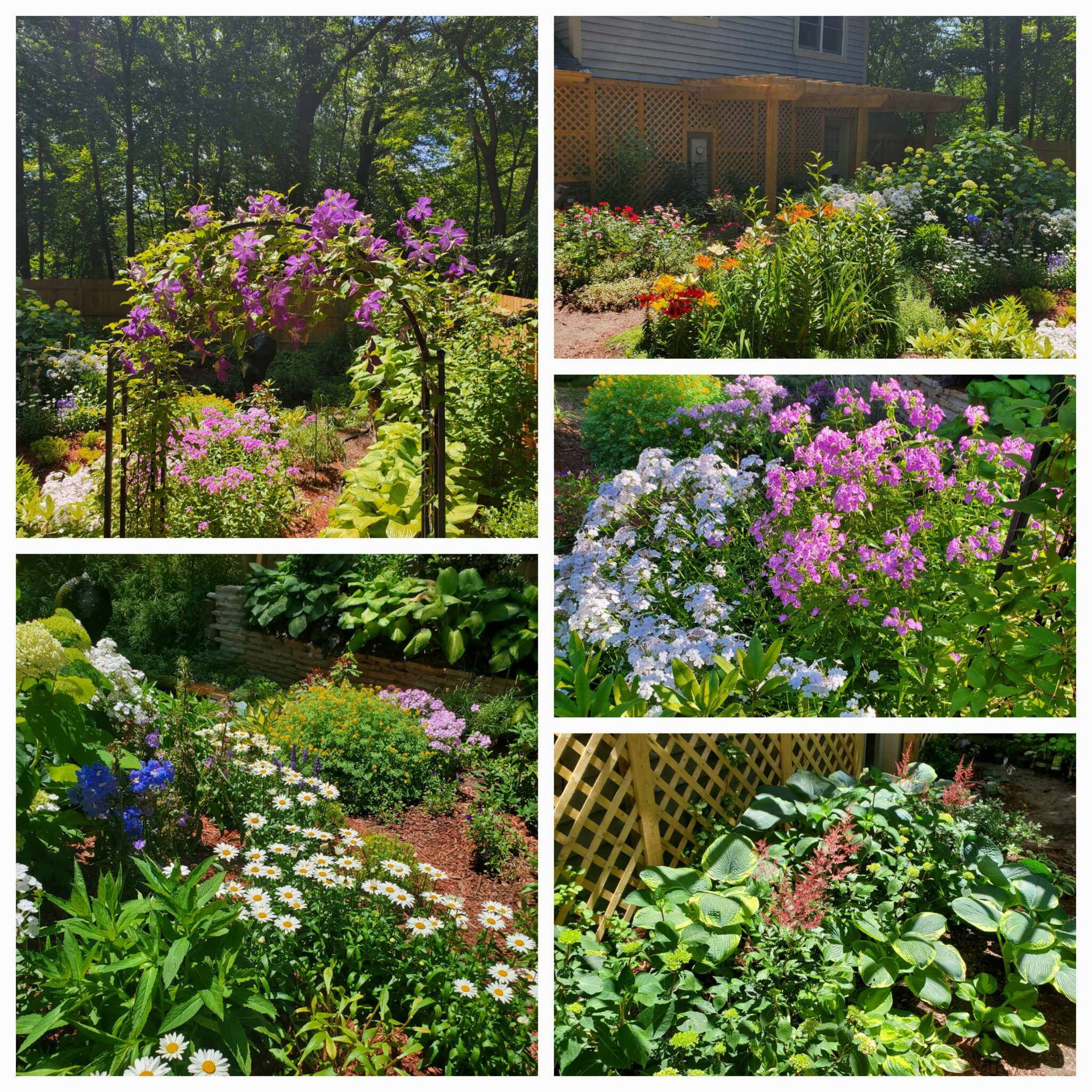 Assessing Nature with a Certain Detachment, or, How I Learned to Love ...