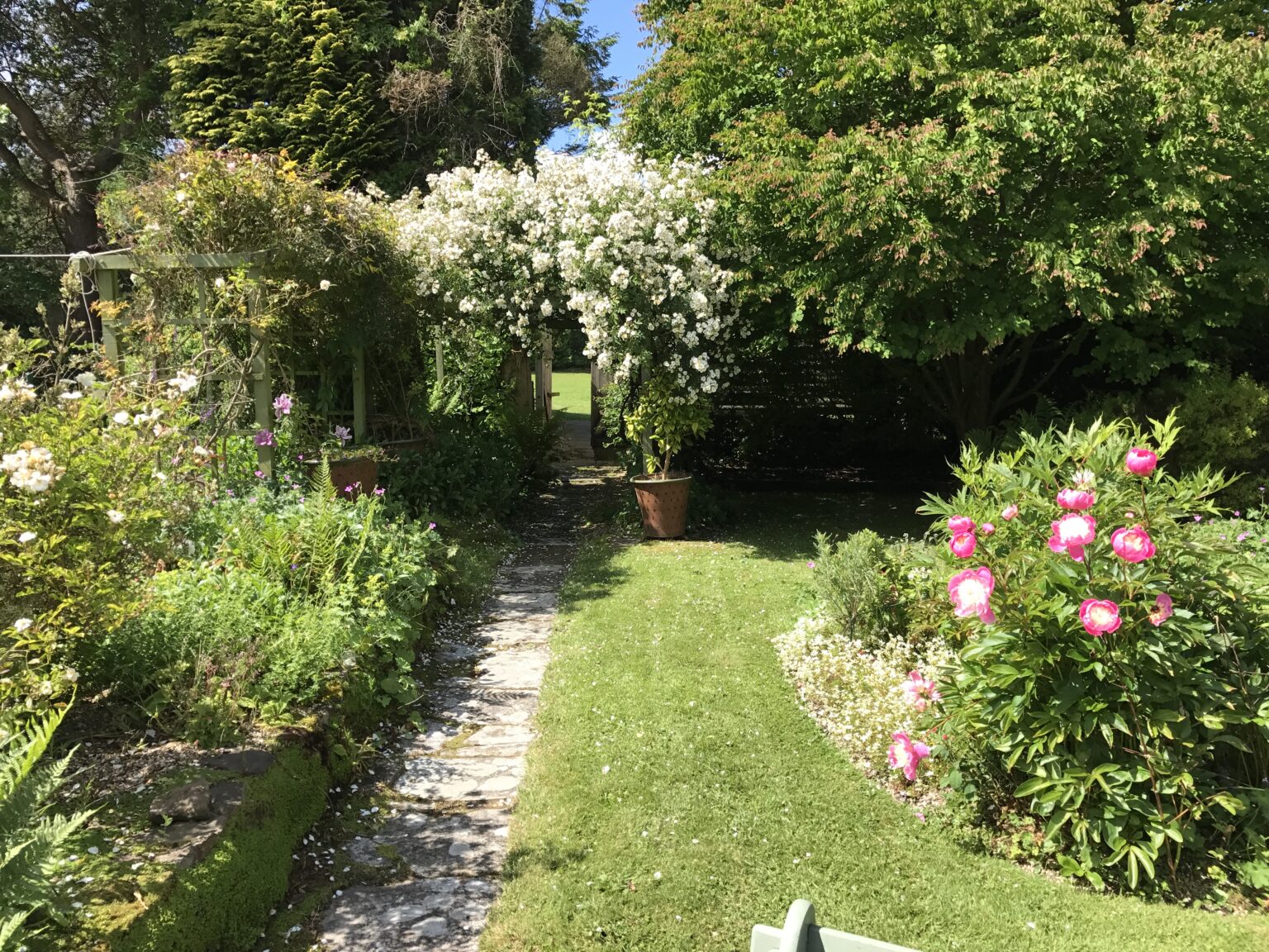 Full of Life Gardens: An Interview with Garden Designer Nick Webb