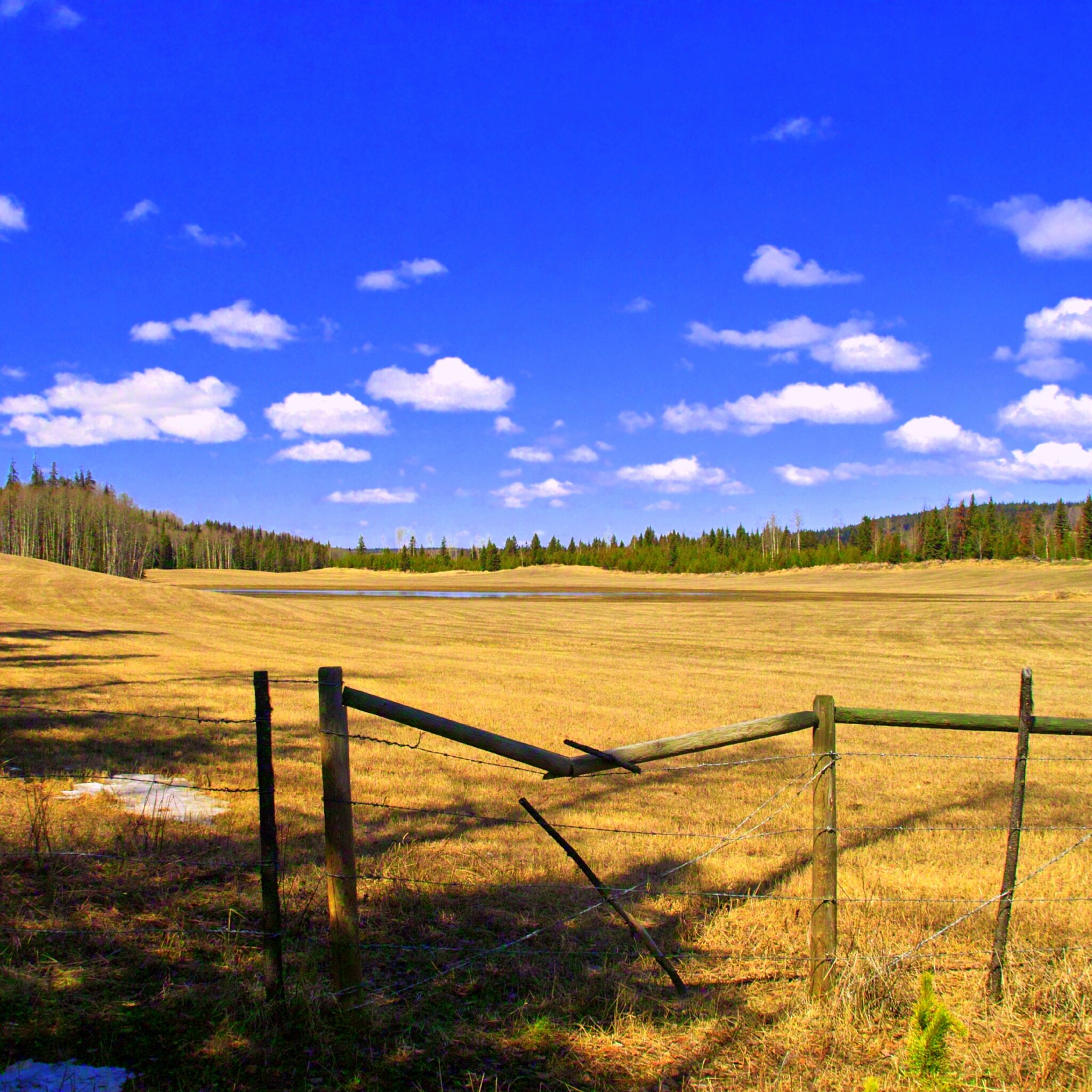 An Interview with a Citizen Scientist - The Renaissance Garden Guy