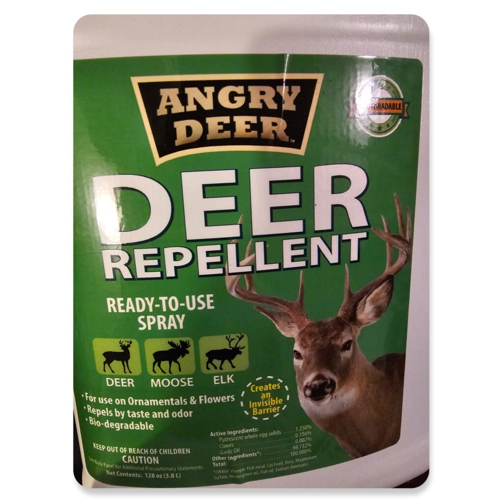 How to Protect Your Ornamental Plants from Deer - The Renaissance ...