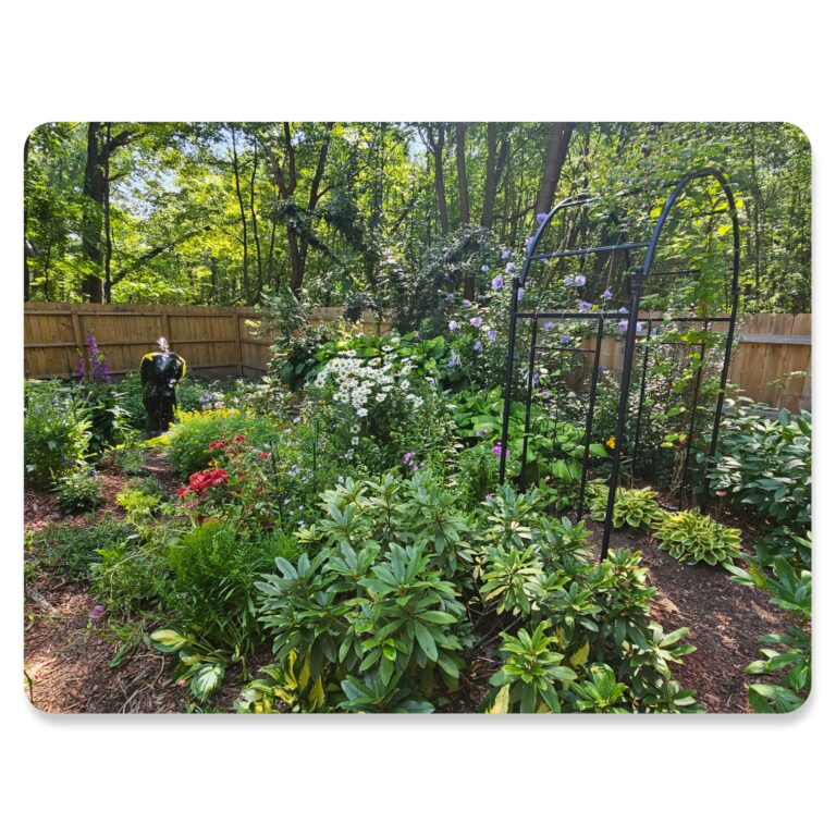 How to Protect Your Ornamental Plants from Deer - The Renaissance ...