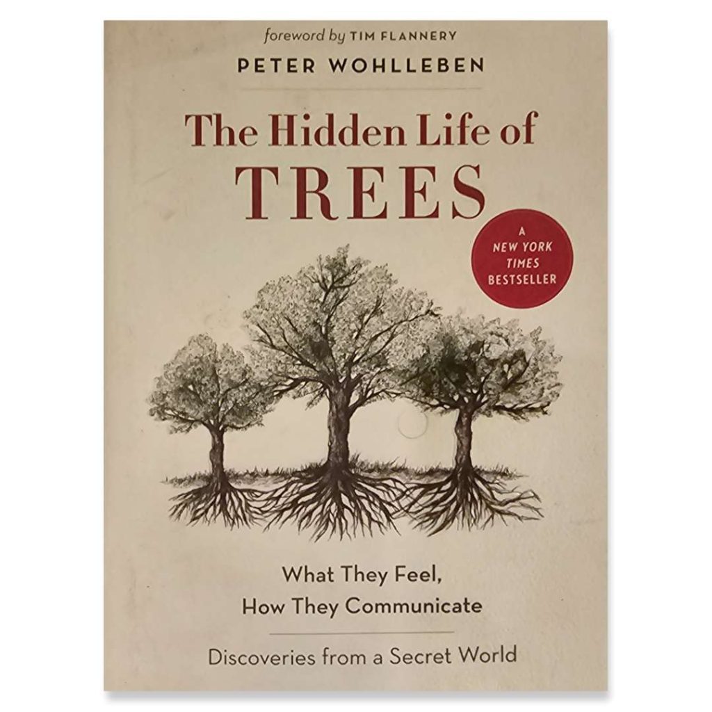 A Review of Peter Wohlleben's Intimate Examination of Earth's Oldest ...