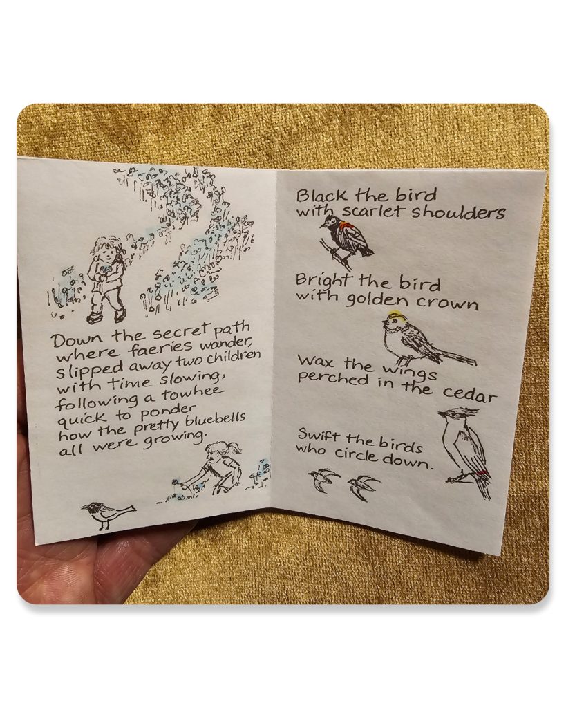 Dayle Olson on the Magic of Zines