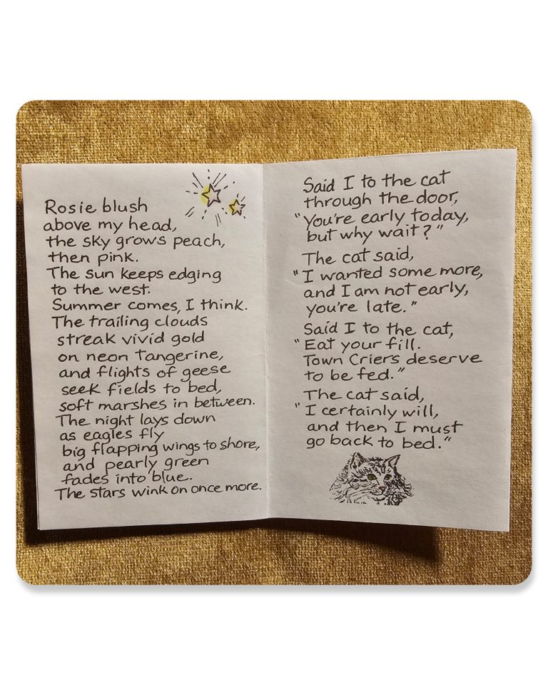 Dayle Olson on the Magic of Zines