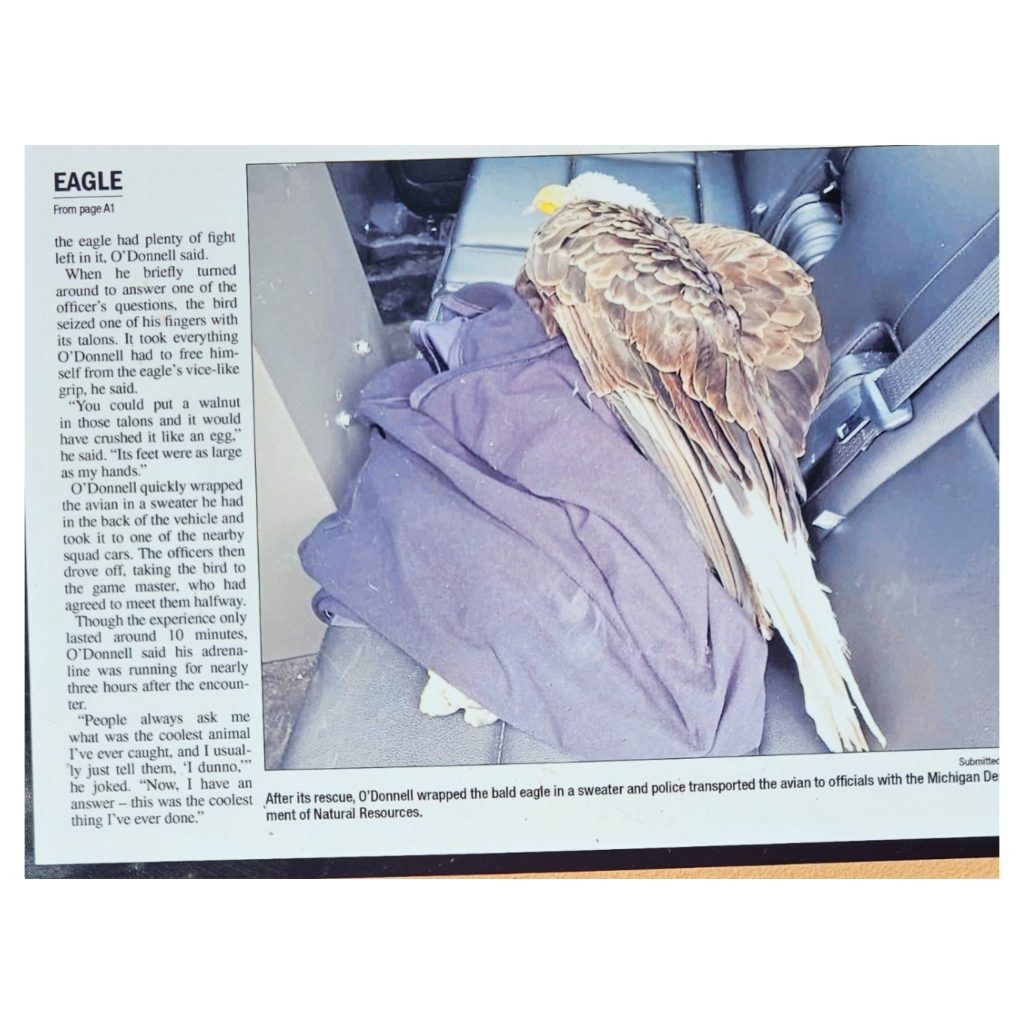 Humane Wildlife Removal and Relocation
