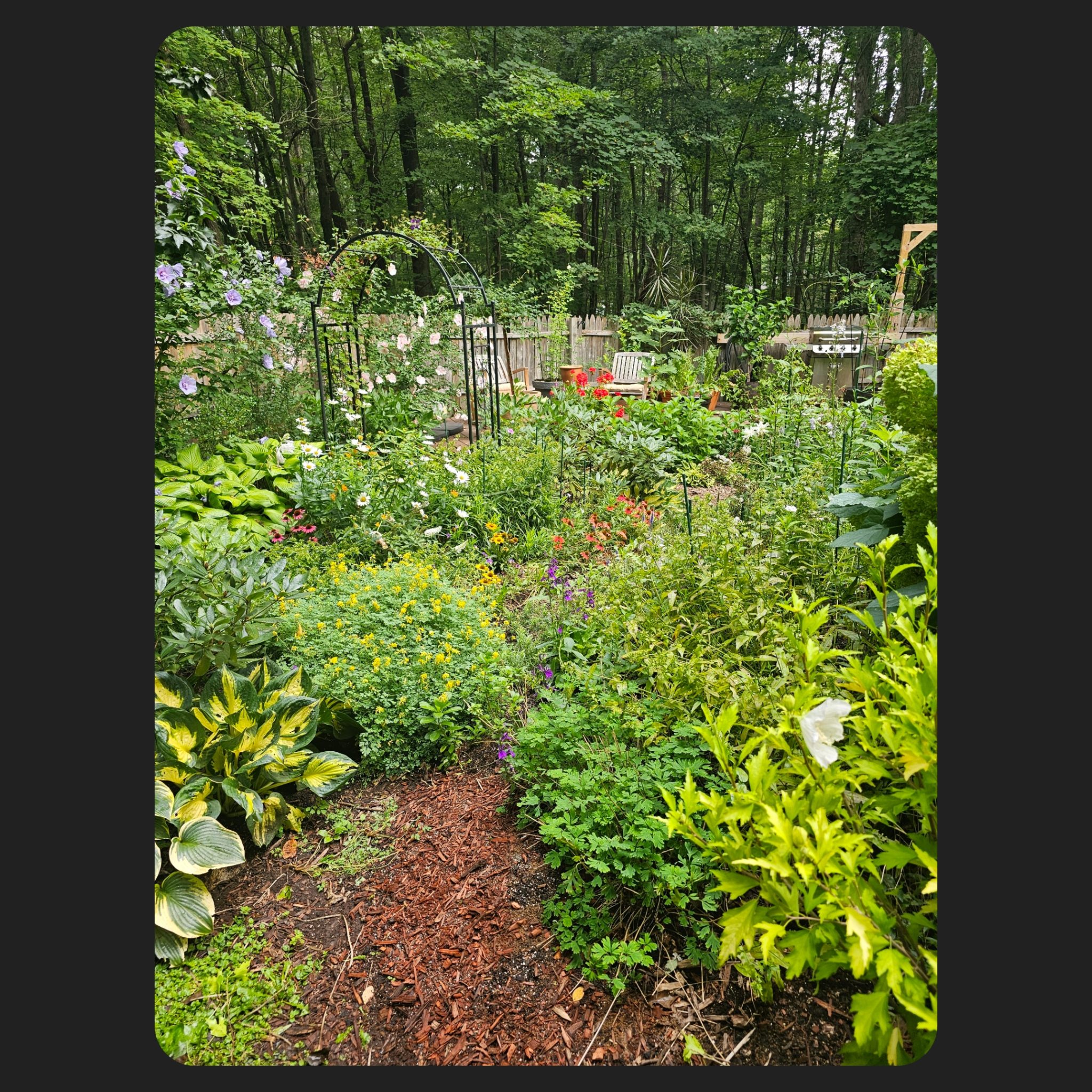 Garden Scenes - The Renaissance Garden Guy