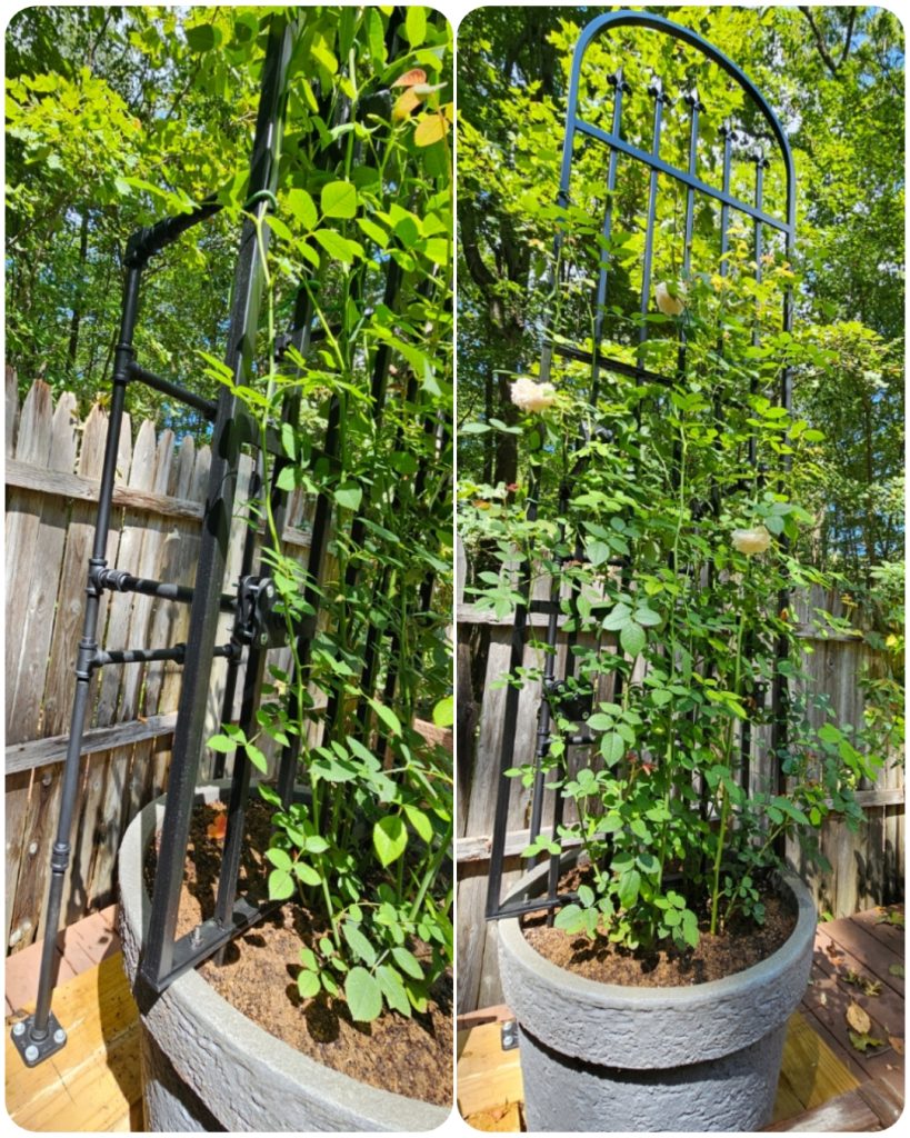 Building a Support for a Container Trellis