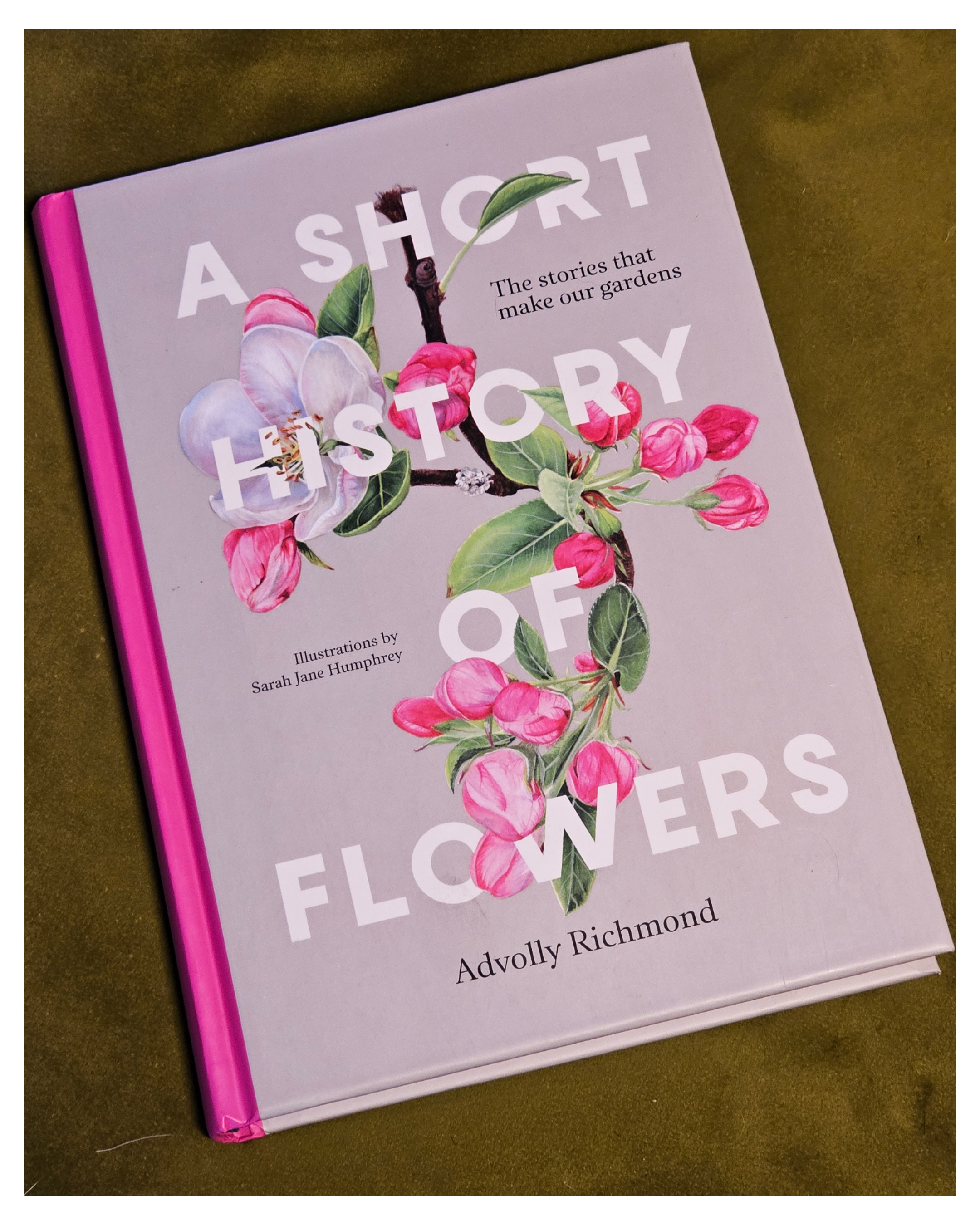 A Short History of Flowers by Advolly Richmond