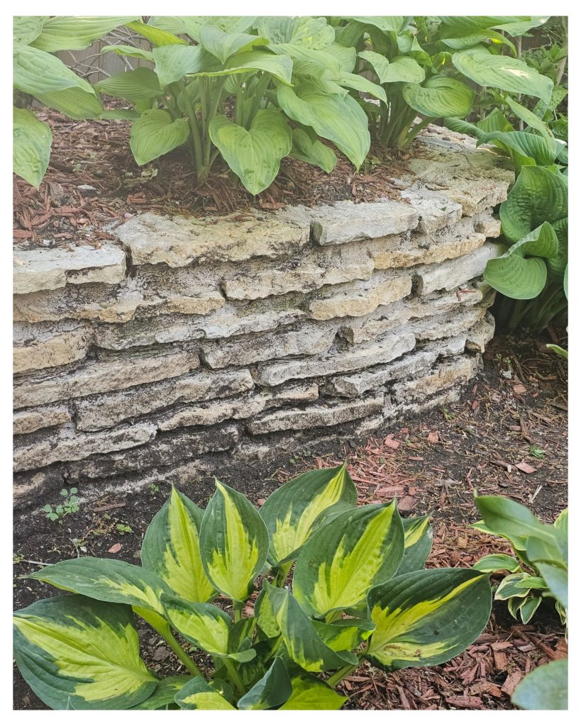 Foundation Plantings: The Whys, the Whats, and the Hows