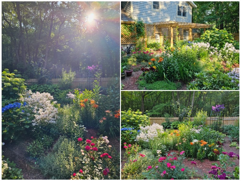 Foundation Plantings: The Whys, the Whats, and the Hows