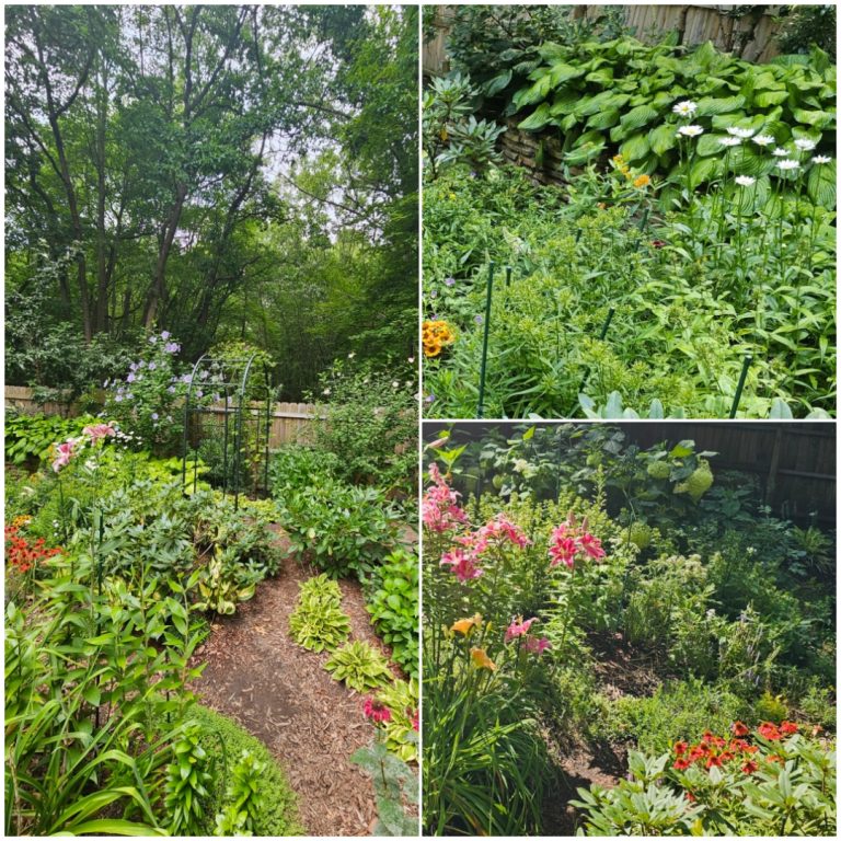 Foundation Plantings: The Whys, the Whats, and the Hows